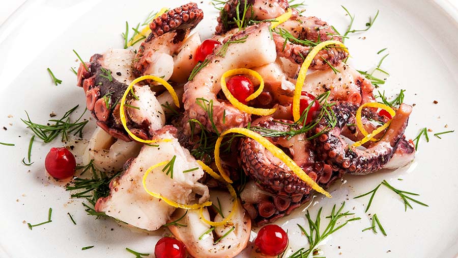 Baba Grill | Turkish Dining in Westin Dubai – Mina Seyahi