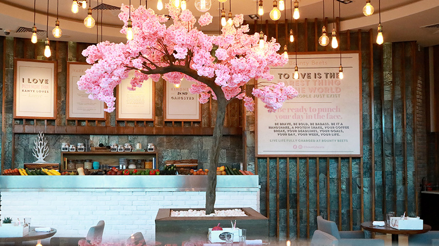 Bounty Beets | Enjoy Healthy, Gluten-Free Dishes