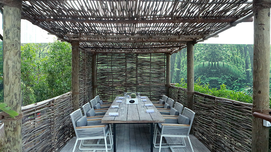 Bounty Beets | Dubai Healthy Café & Restaurant – Mina Seyahi