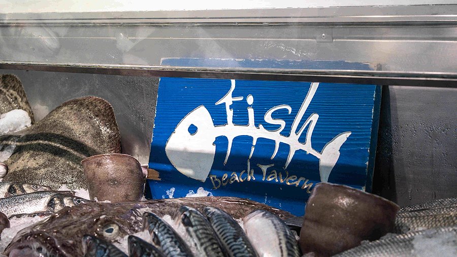 Fish Beach Taverna | Authentic Turkish Cuisine