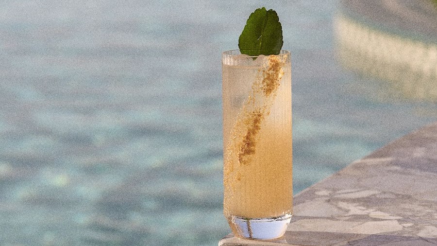 Ginger Moon: A Culinary Journey | Mina Seyahi