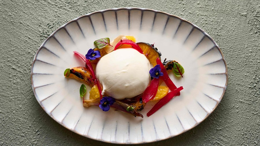 Ginger Moon: A Culinary Journey | Mina Seyahi