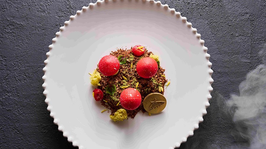 Ginger Moon: A Culinary Journey | Mina Seyahi
