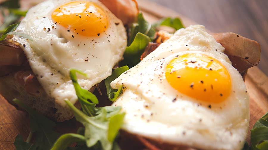 Mina’s Kitchen | Family-friendly Dubai Restaurant – Mina Seyahi