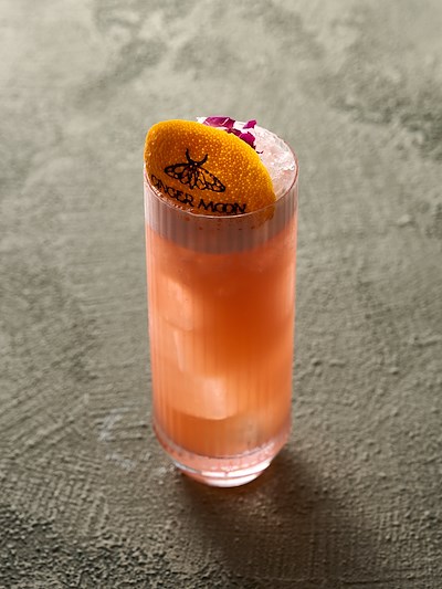 Ginger Moon: A Culinary Journey | Mina Seyahi