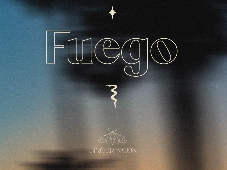 Ginger Moon: A Culinary Journey | Mina Seyahi