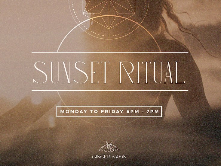 Ginger Moon: A Culinary Journey | Mina Seyahi