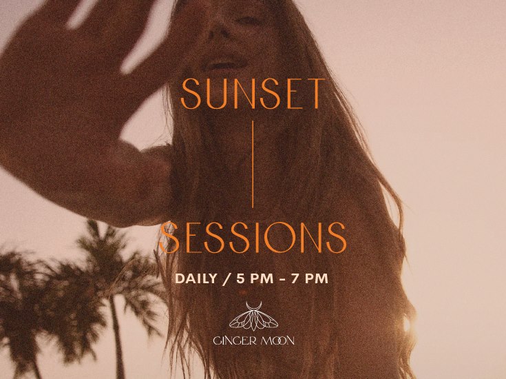 Ginger Moon: A Culinary Journey | Mina Seyahi